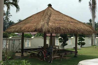 ALANG LALANG SUPPLIER IN MALAYSIA